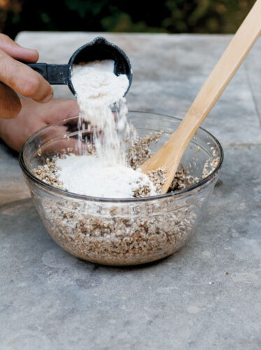 Growing Mushrooms at Home: The PF Tek Method – Mother Earth News